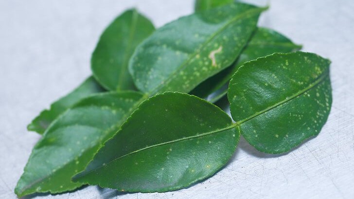 Colocar Um Limão Em Seu Quarto Pode Salvar Sua Vida! Veja o Porquê