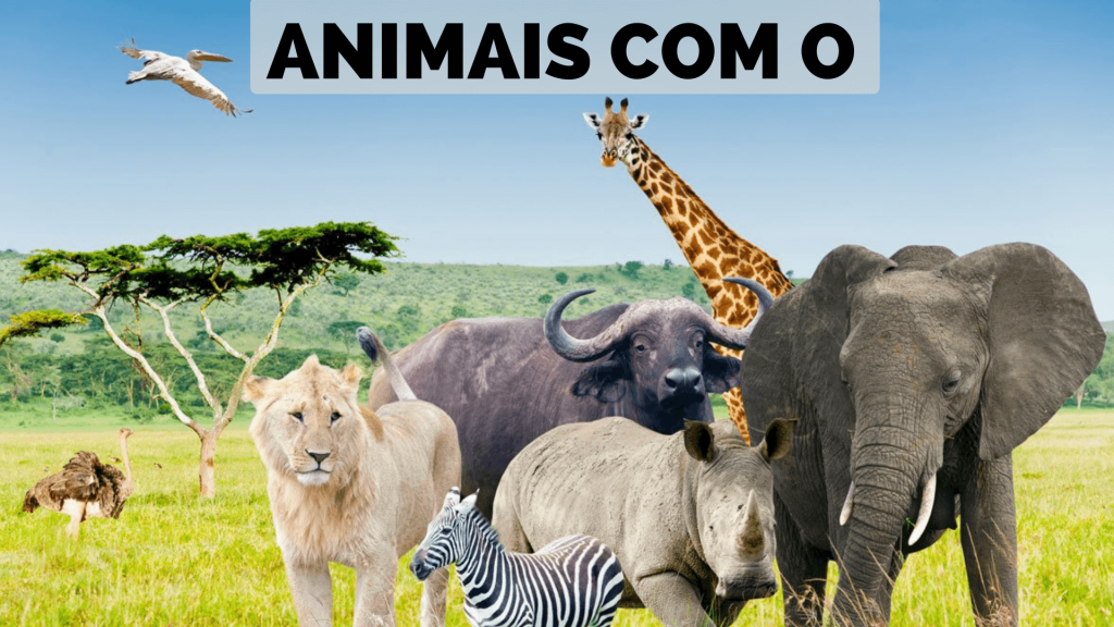 Animais Com O 【Lista Completa】